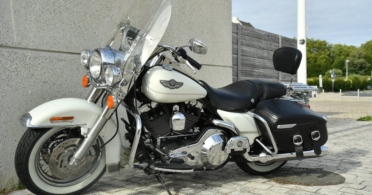 Feestweekend voor liefhebbers Harley Davidson en stevige muziek ...