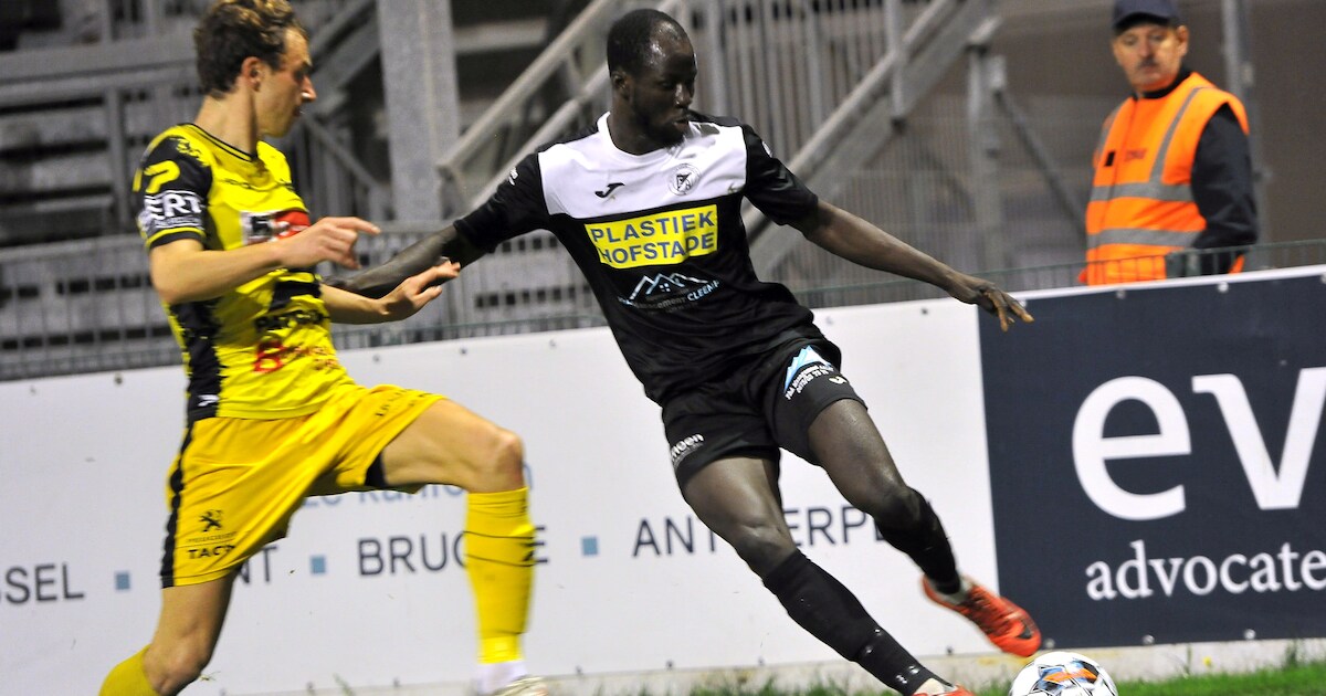 Aalst-coach Carl De Geyseleer: “Tevreden over spelpeil ondanks nieuwe ...