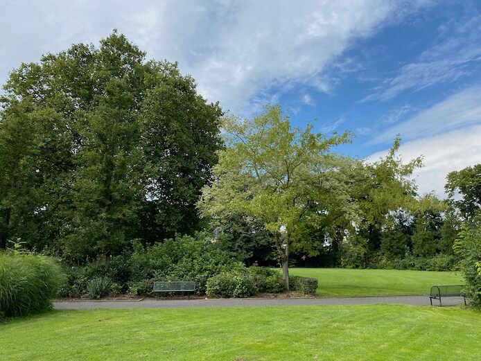 Oppositie vraagt meer aandacht voor park ‘s Heerenbeemden: “Wandelpaden ...