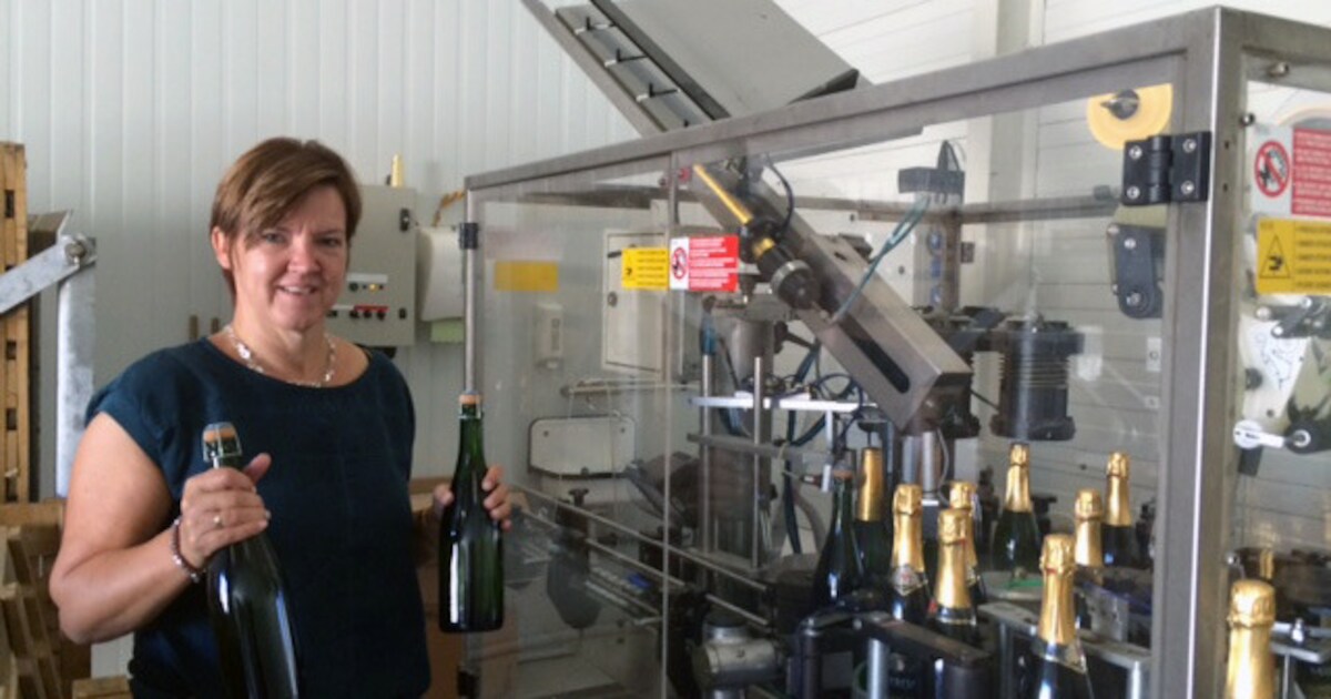 Els Van Hoof ruilt Kamer even voor Chardonnay Meerdael | Leuven | hln.be