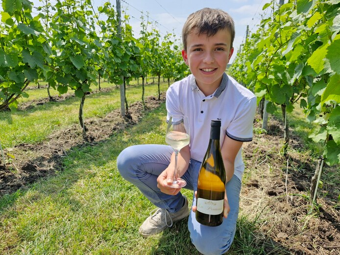 Aaron (13) lanceert zijn eigen wijn: “Nee, ik drink niet, maar ik heb ...