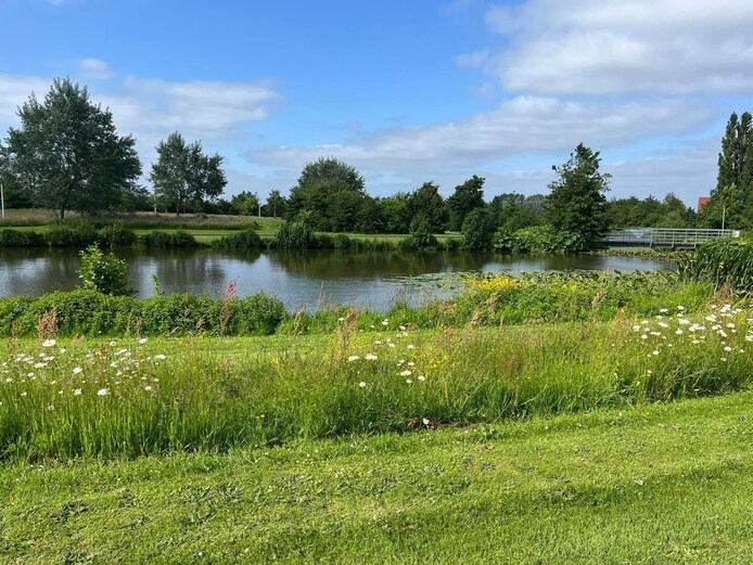 Proef een wereld van smaken op foodtruckfestival in Wingene | Wingene ...