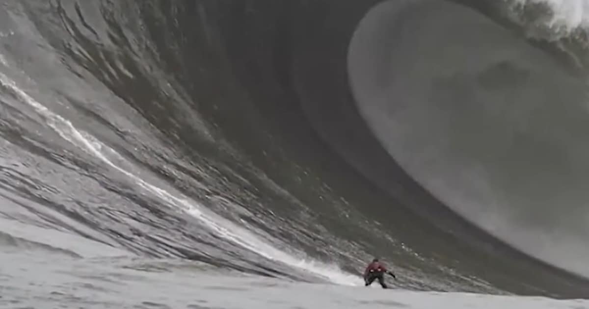 Surfer Alessandro uit Californië bedwong misschien wel de hoogste golf ...