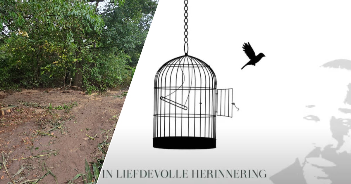 Man die begraven werd naast maisveld in Meer blijkt Sherwin Peterhof ...