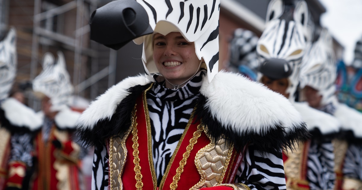 Mortselse carnavalisten maken zich op voor drie dagen feest: “Carnaval ...