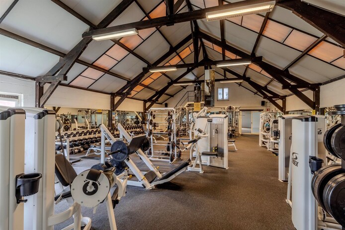 Francis (64) zoekt nieuwe eigenaar voor Heistse Gym: “Een overnemer ...