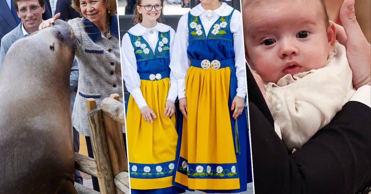 ROYALTYCHECK. De zeeleeuw van Sofía, de verhuizing van Nikolai en de ...