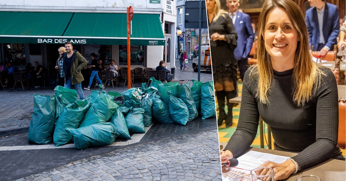 “Dit zal tot meer sluikstorten leiden”: N-VA stelt zich vragen bij ...