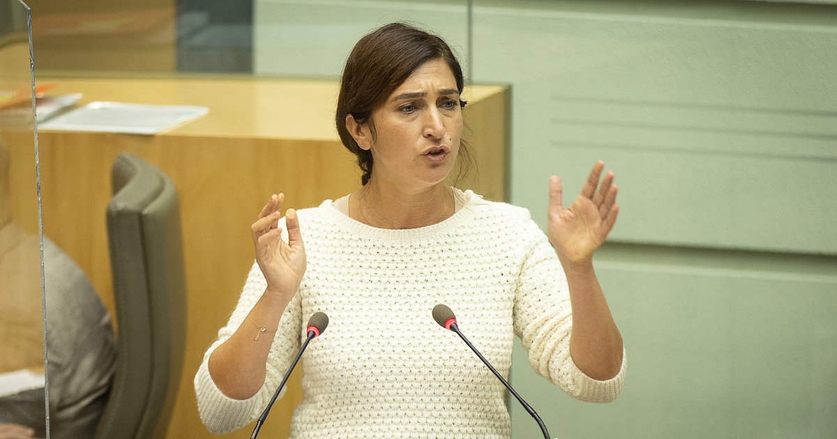 Bosalliantie Demir heeft al 1.000 hectare grond voor extra bos | Weer ...