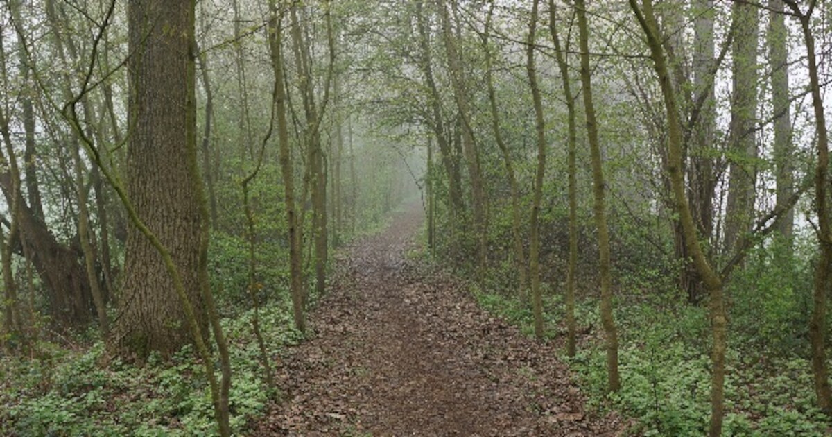 Natuur- en landschapswandeling langs oude trambaan | Herzele | hln.be