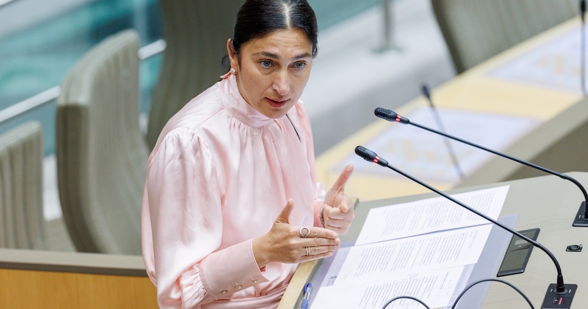 Demir heeft besparing van 79 miljoen euro op arbeidsmarktsubsidies rond ...