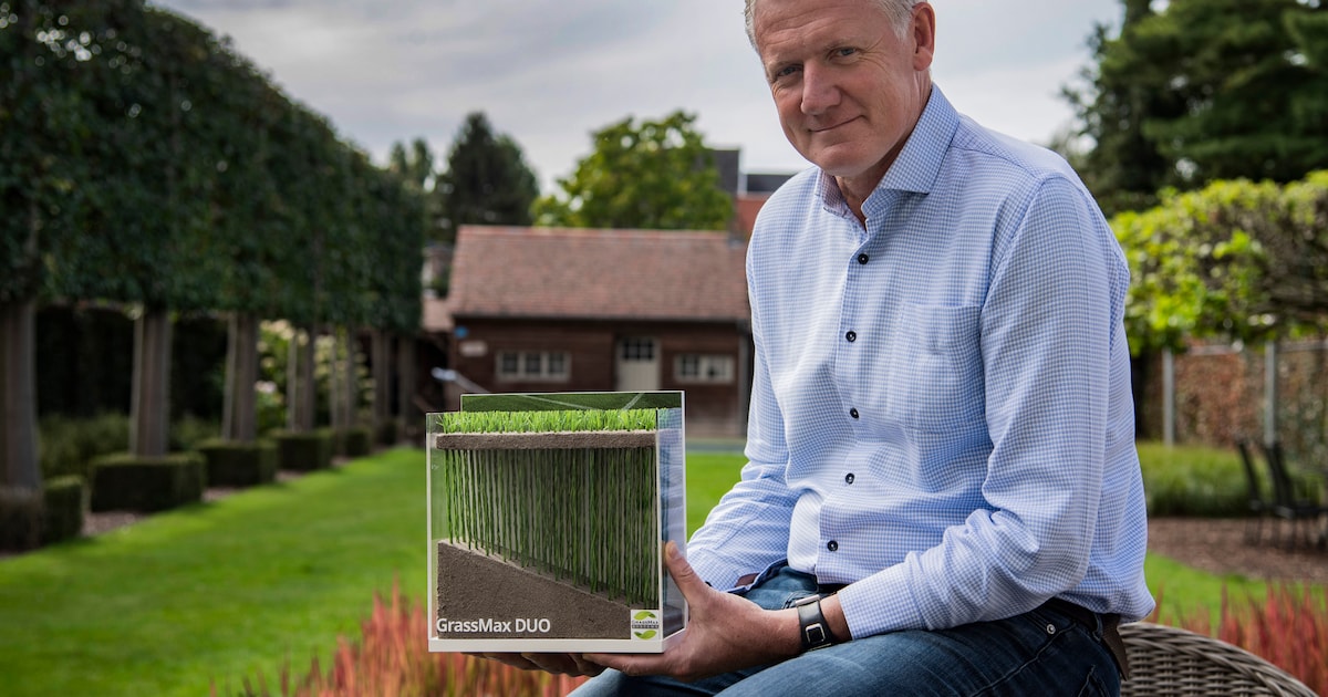 Eden Hazard en Thibault Courtois voetballen binnenkort op Zeelse grasmat: Grassmax systems legt ...