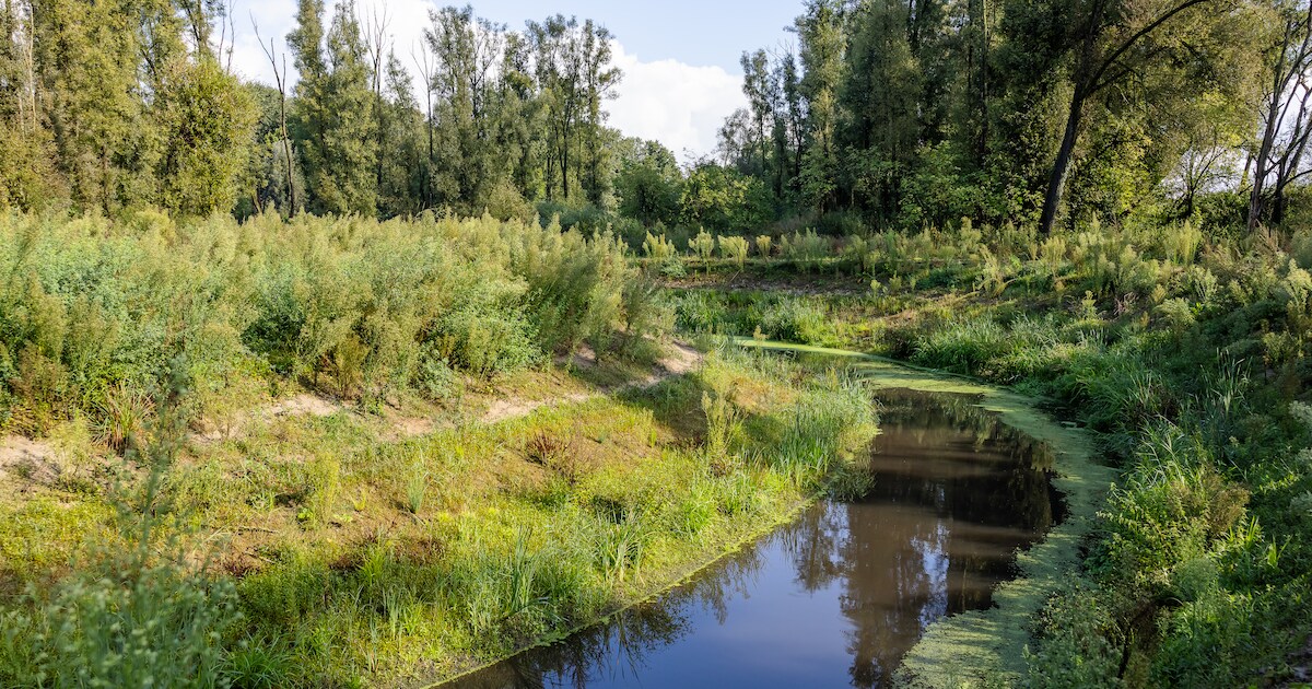 Pasar Deinze gaat fietsen en sneukelen in het land van Nevele | Deinze ...