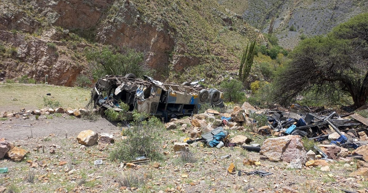 Minstens 31 doden en 15 gewonden bij busongeval in Bolivia: bus stort ...