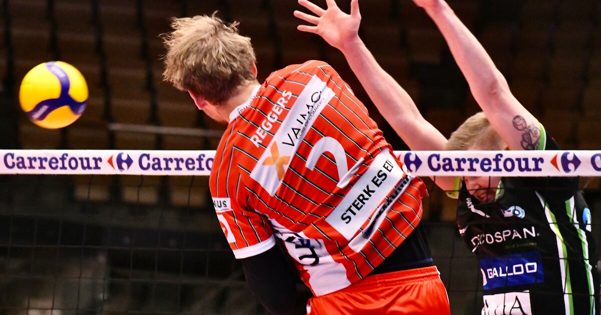 Maaseik blijft stevig op tweede plek na show van Reggers | Meer Sport ...