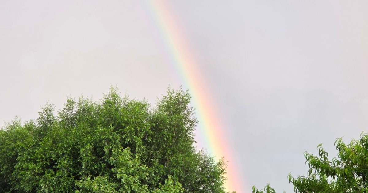 Regenboog kleurt hemel boven Ichtegem op | Regio | HLN.be