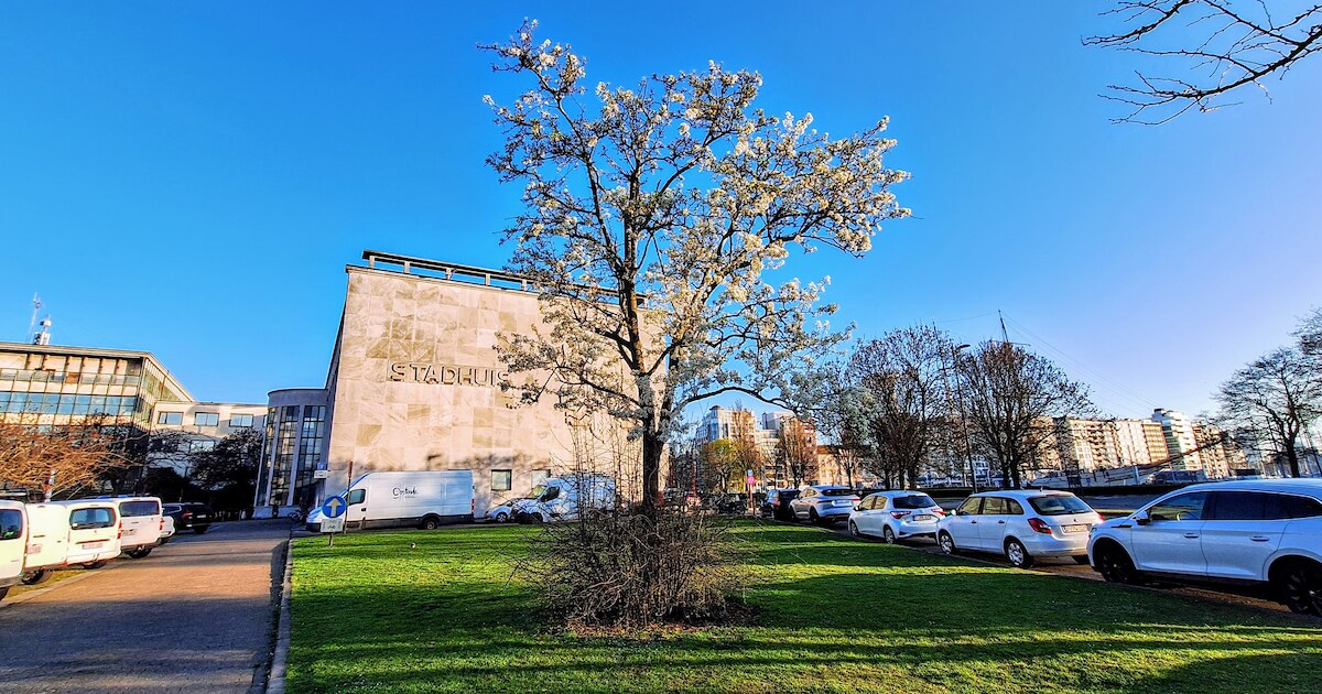 Oostende ondertekent oproep tegen kernwapens: Ginkgo boom wordt symbool ...