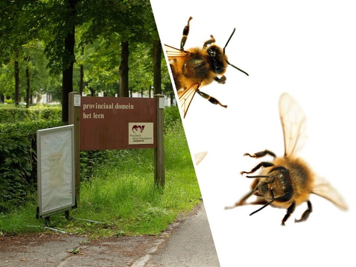 Fietser (58) stikt na insectenbeet in hals, specialist waarschuwt ...