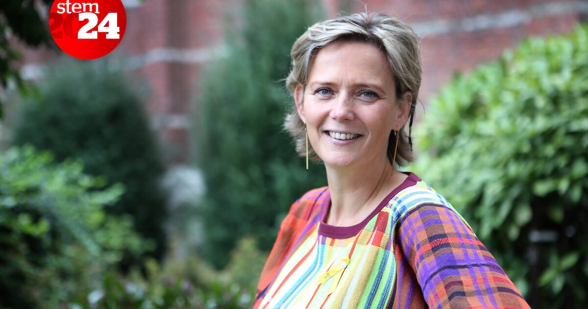 Dit zijn de kandidaten voor Team Tienen, en hun plannen voor Tienen ...