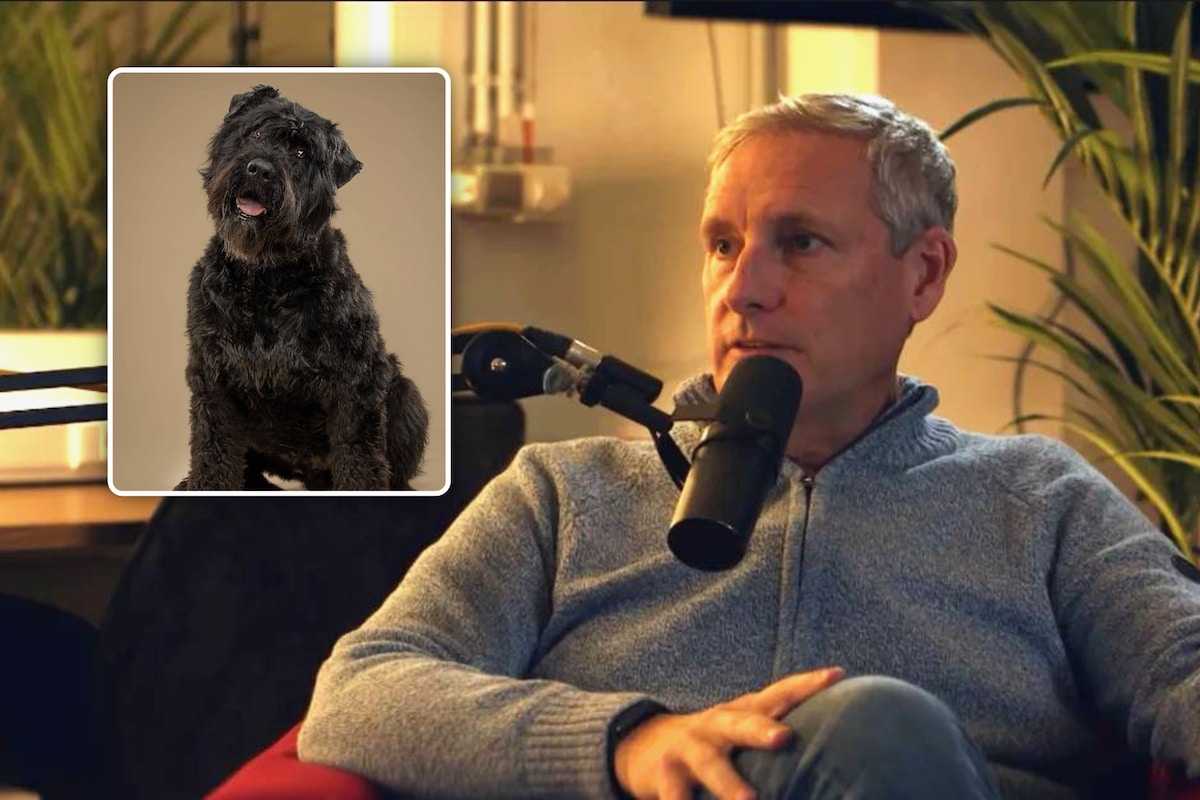 Gert Verhulst over afscheid van hond Leo: “De dag dat hij is ingeslapen ...