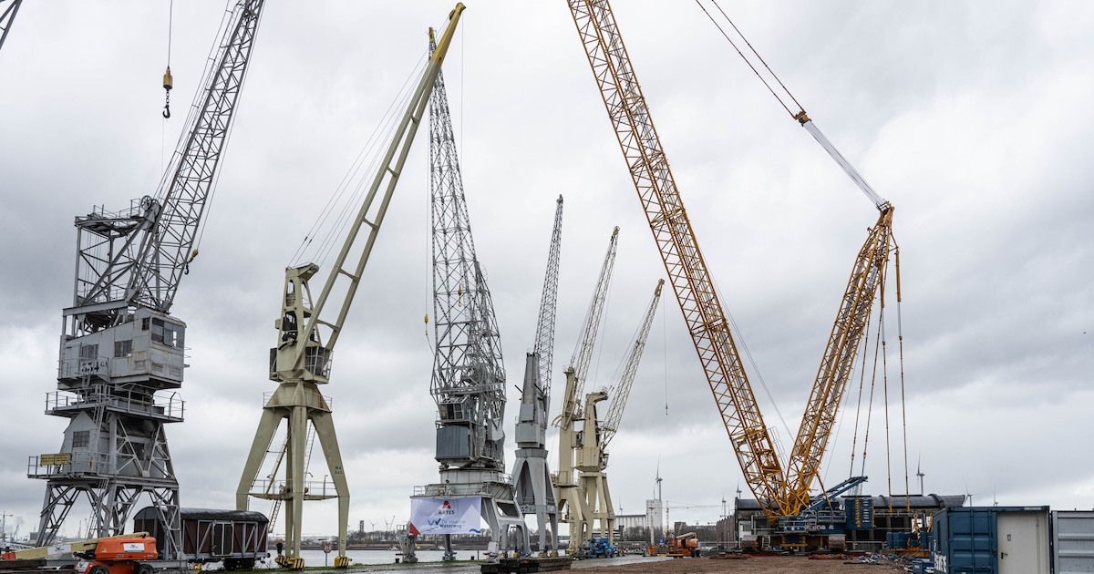 IN BEELD. Historische havenkranen tijdelijk verplaatst op Scheldekaaien ...