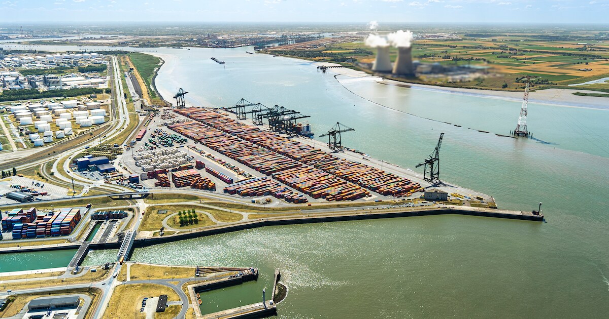 “Tot 100 containerschepen per jaar aan de stekker”: PSA installeert ...