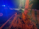 Automobilist (23) speelt rijbewijs kwijt na knal tegen boom in ...
