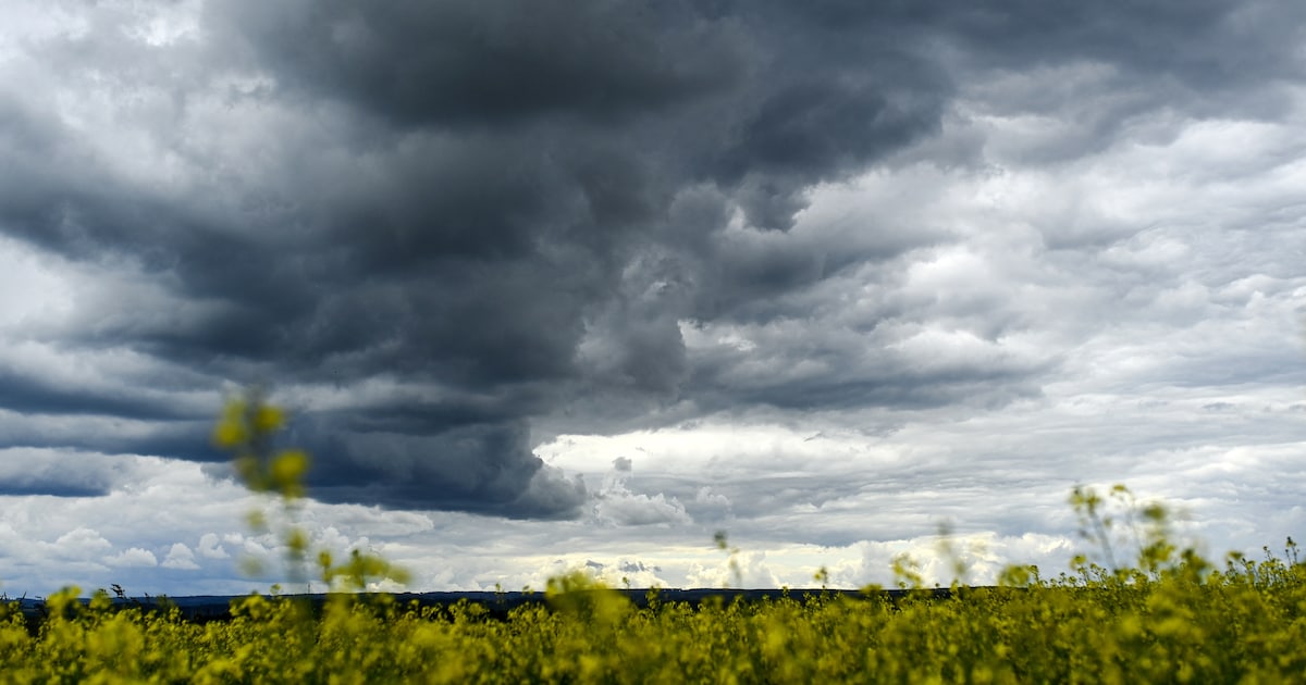 WEERBERICHT. Vanochtend zware regen en bewolking in Aalst | Aalst | HLN.be