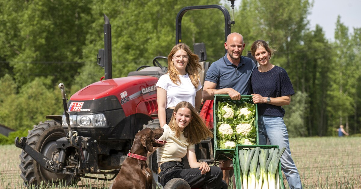 Groenteteler uit Bornem maakt sprongen in duurzaamheid: “Water is een ...