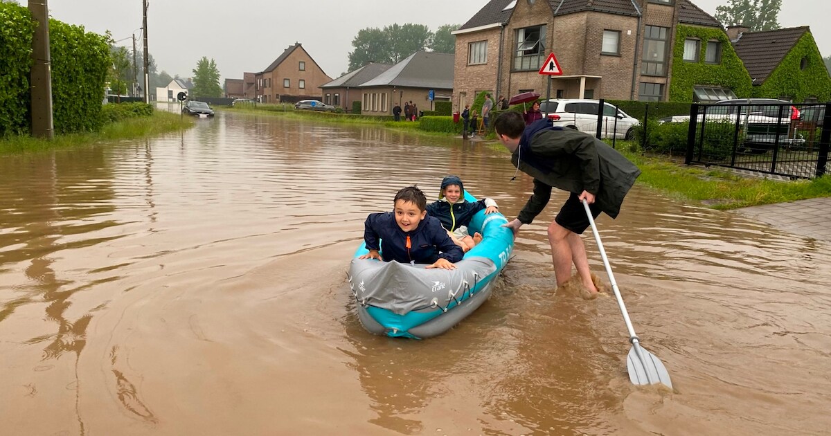 Een laatste terugblik op 2021: HLN Lede meer dan 4 miljoen keer gelezen ...