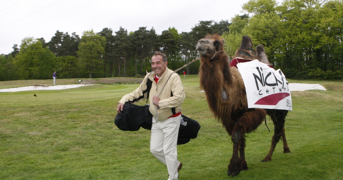 Kameel Kim caddie in Golfforum | Lummen | HLN.be