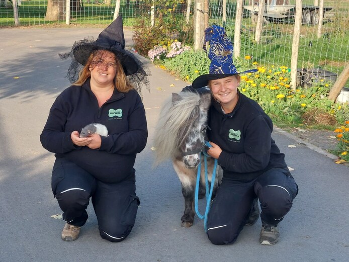 Beestige Halloween op praktijkhoeve van VABI: “Opbrengst gaat integraal ...