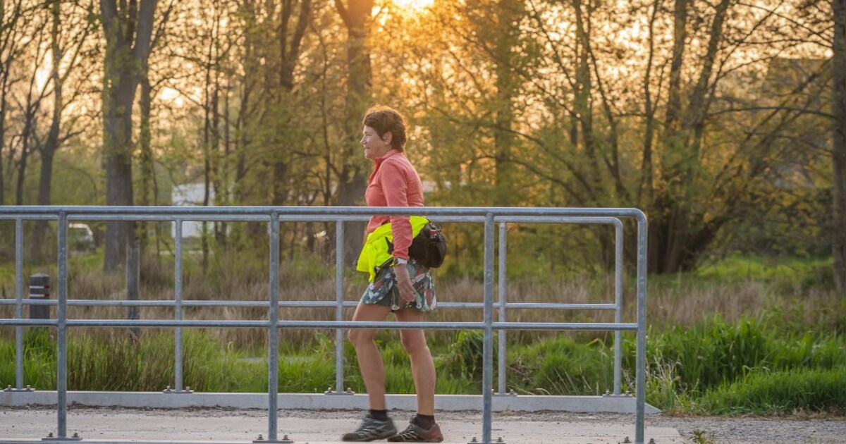Tickets voor zesde editie De Molse 60 gaan in verkoop | Mol | HLN.be