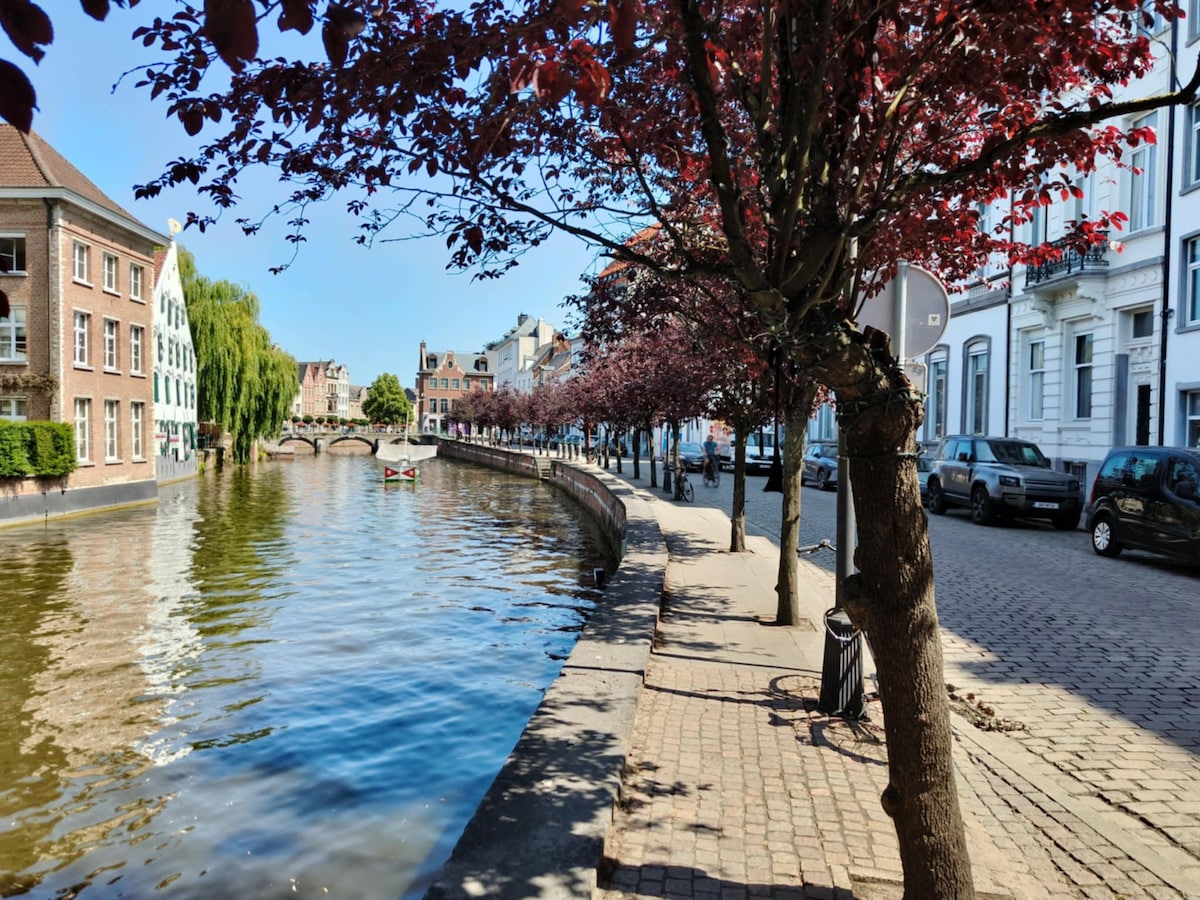 Ernstige verkeershinder in omgeving Werf vanaf 5 januari | Lier | HLN.be