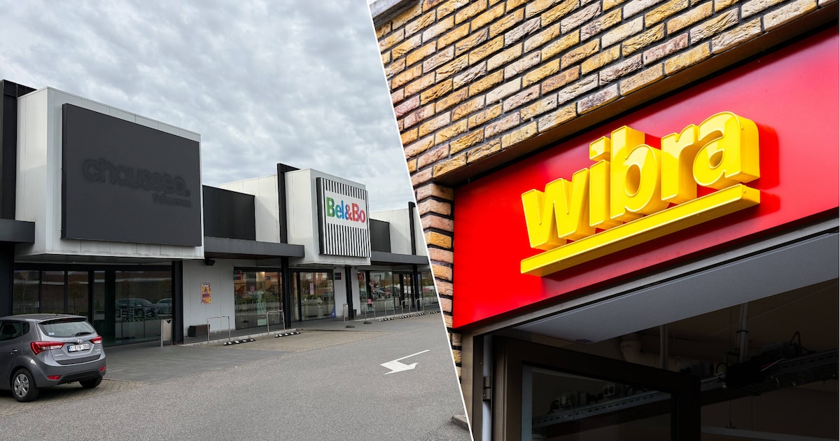 Wibra kijkt naar DeinzeShopping voor nieuwe vestiging: “Er is alvast ...