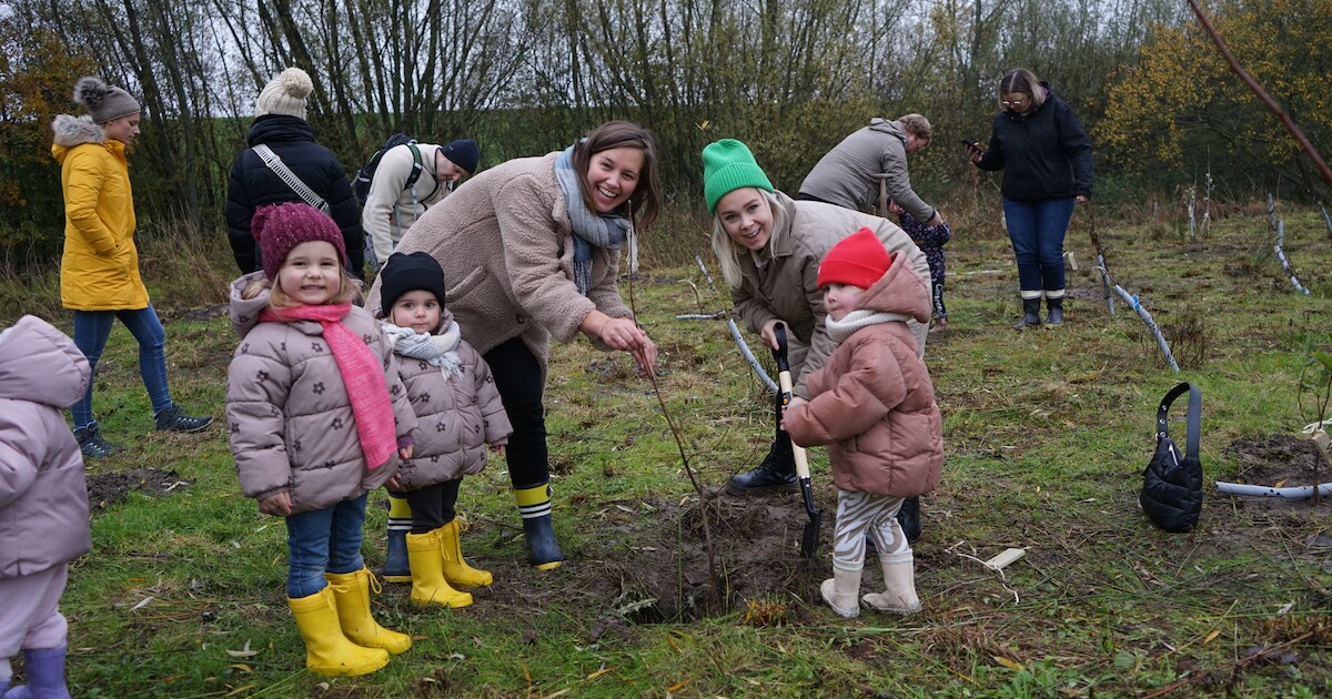 Kabouterbos groeit aan met 156 bomen | Kruibeke | HLN.be