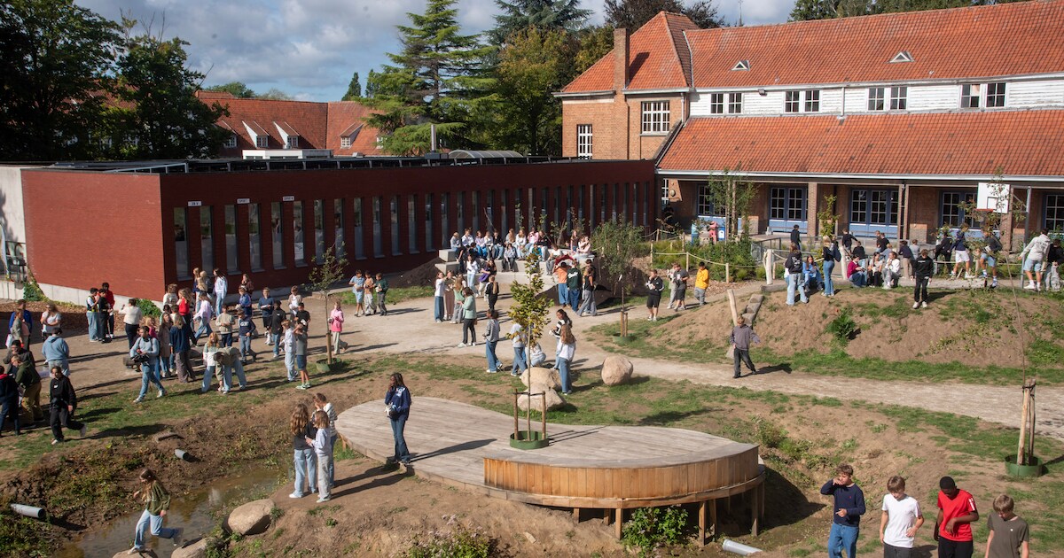 Leerlingen Mariagaard geven speelplaats extra groen tintje: “Zelf ...
