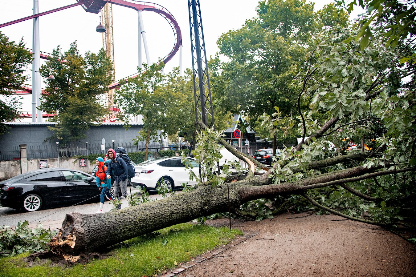 Noorden van Europa wordt geteisterd door Storm Hans, mogelijk de ...