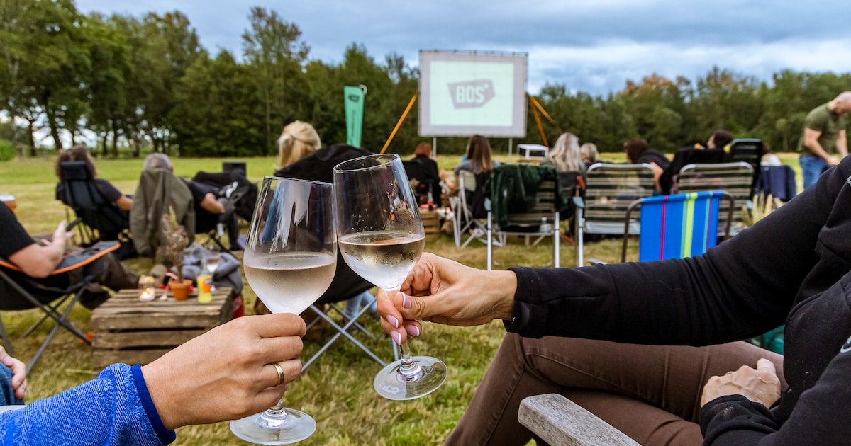 20 jaar ‘Film in het bos’: BOS+ trapt jubileumeditie af in Hove | Hove ...