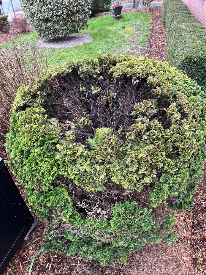 KIJK: Hooligans gooien Bengaals vuur in voortuin van Mario (49): “Wat ...