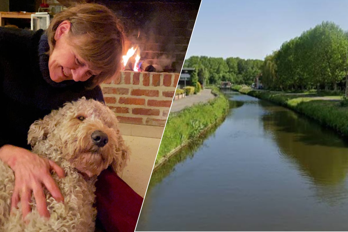 Viviane onderkoeld nadat ze achter hond zwemt in Molenbeek: “Anders was ...