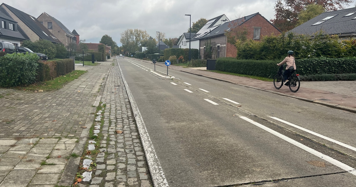 Frustratie over losliggende klinkers: Lintsesteenweg krijgt grondige ...