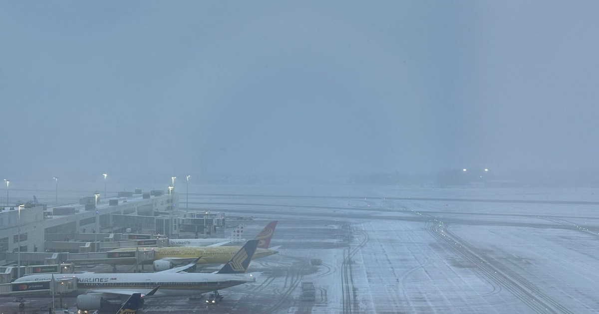 Haast alle vluchten vertraagd en zelfs enkele afgelast: sneeuw zorgt ...