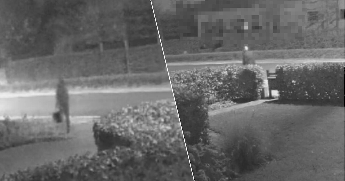 Aanhouding van brutale overvallers bevestigd, één van de verdachten ...