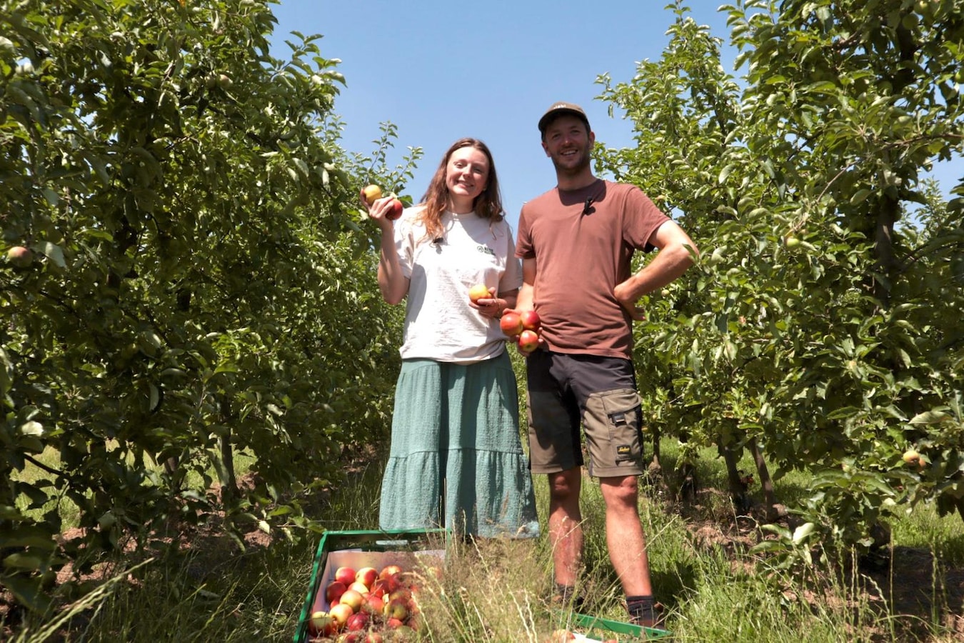 Bioboer Lukas uit Tielt-Winge zit met 40 ton bio-appels die niet ...