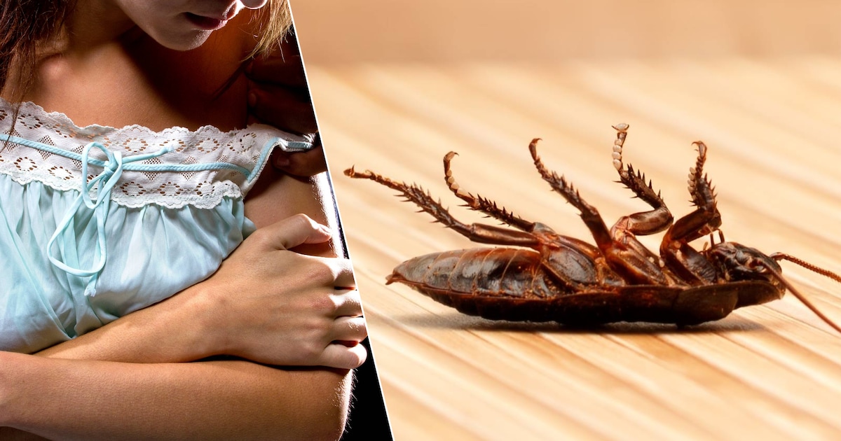 Kinderen voor het leven getekend na verwaarlozing door hun moeder (27 ...