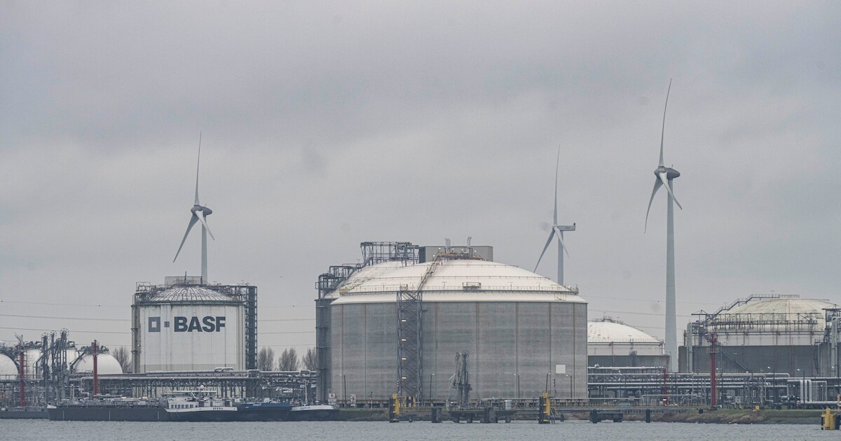 BASF zet miljardeninvestering in Antwerpen op de helling | Nieuws | HLN.be