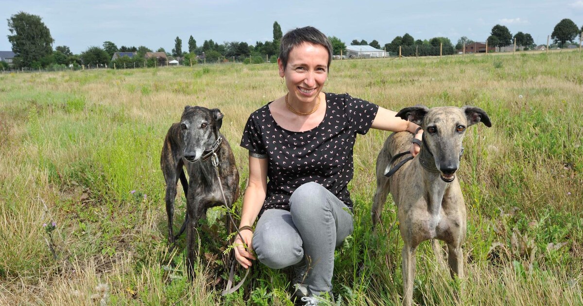 Gejuich en gemor over hondenweide | Steenokkerzeel | HLN.be