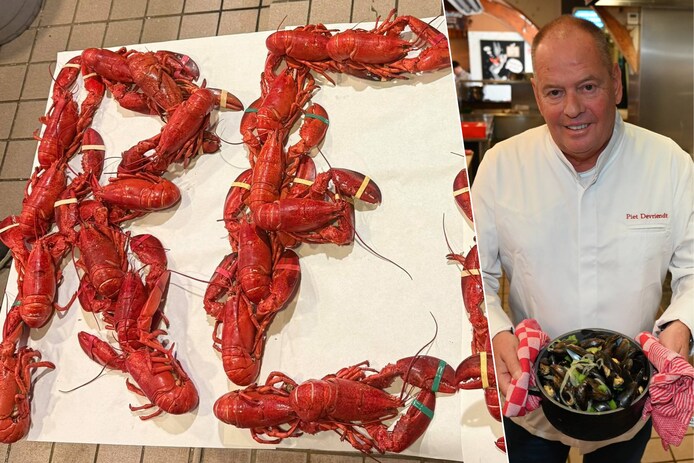 Blankenbergse chef Piet Devriendt wenst Red Sebastian succes met ...