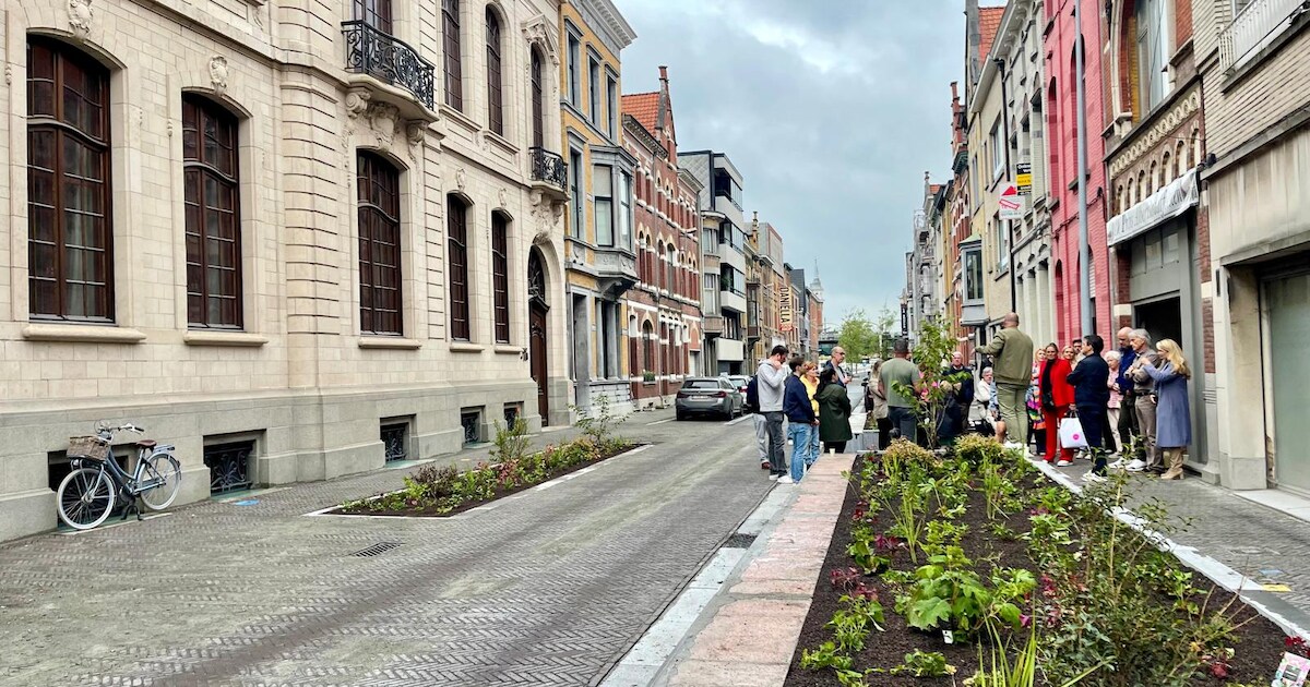 Prins Albertstraat opnieuw open na vergroeningsoperatie: “Nu is het meer dan ooit de mooiste ...